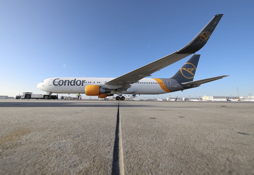 Der Kondor klebt wieder am Leitwerk der Condor-Jets - Aerobuzz.de